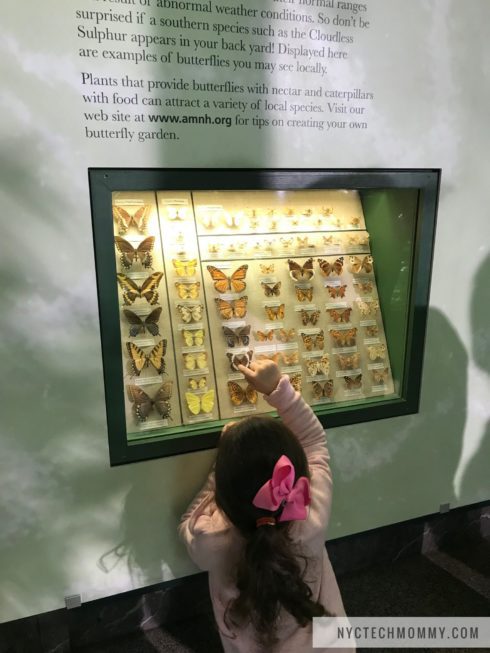A Family Visit to the American Museum of Natural History | NYC Tech Mommy