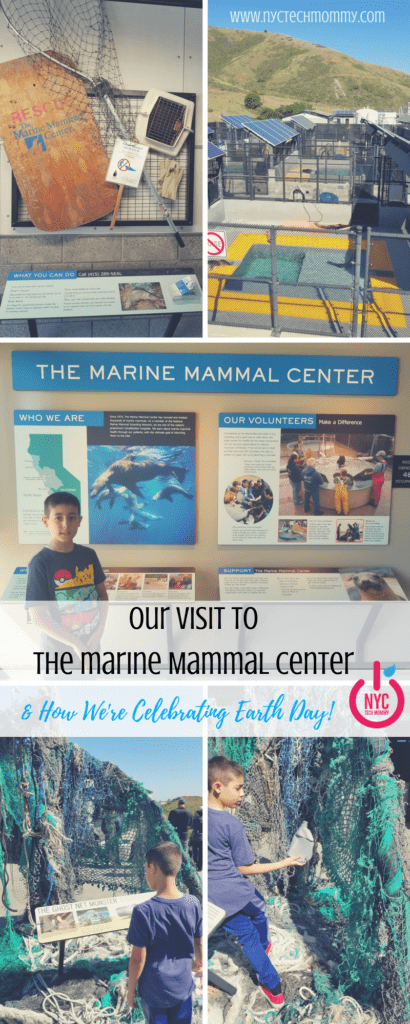Our Visit to the Marine Mammal Center & Celebrating Earth Day | NYC ...