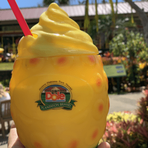 Visiting the Dole Pineapple Plantation with Kids #TravelTuesday | NYC ...