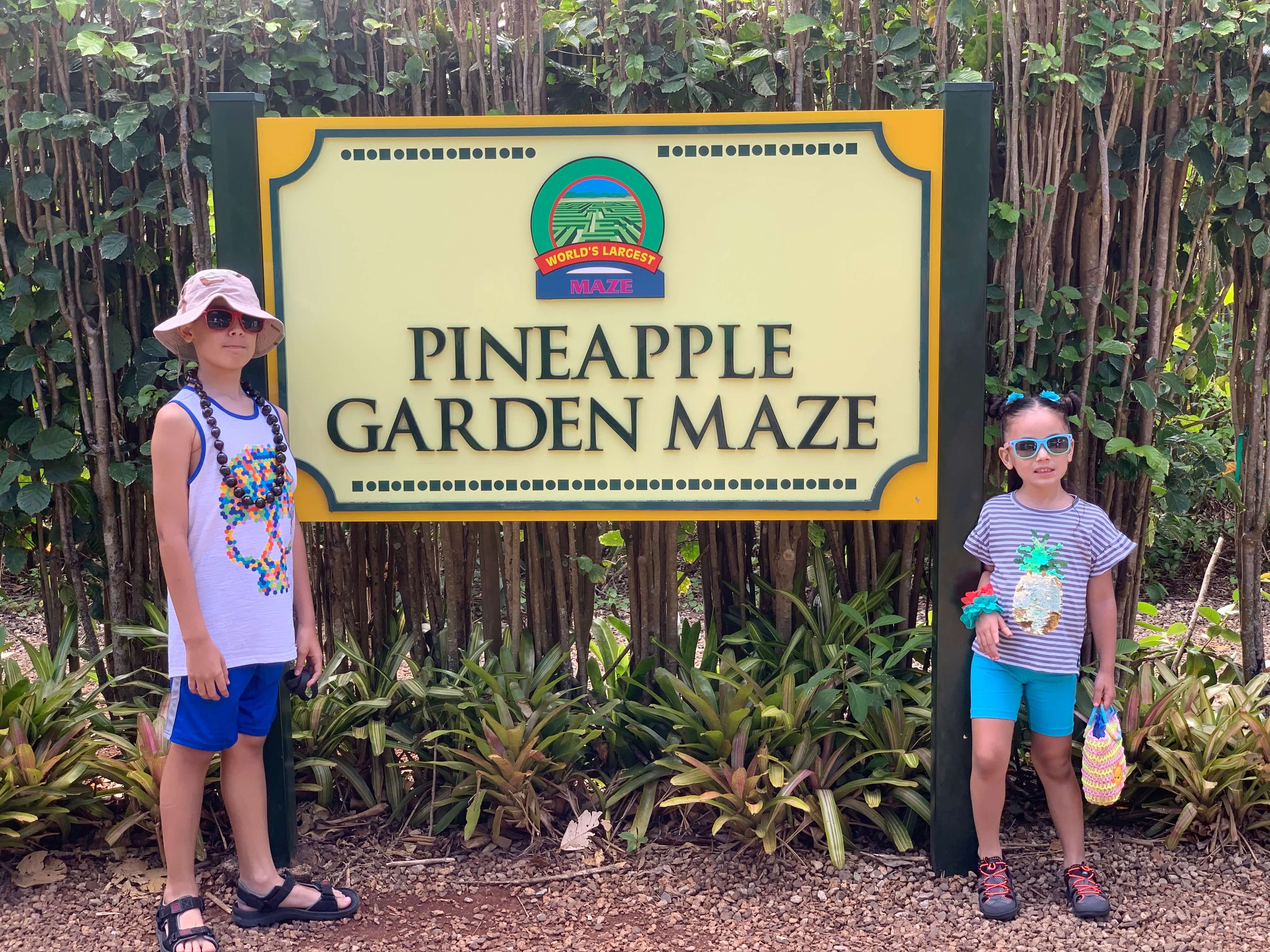 Dole Pineapple Plantation Maze