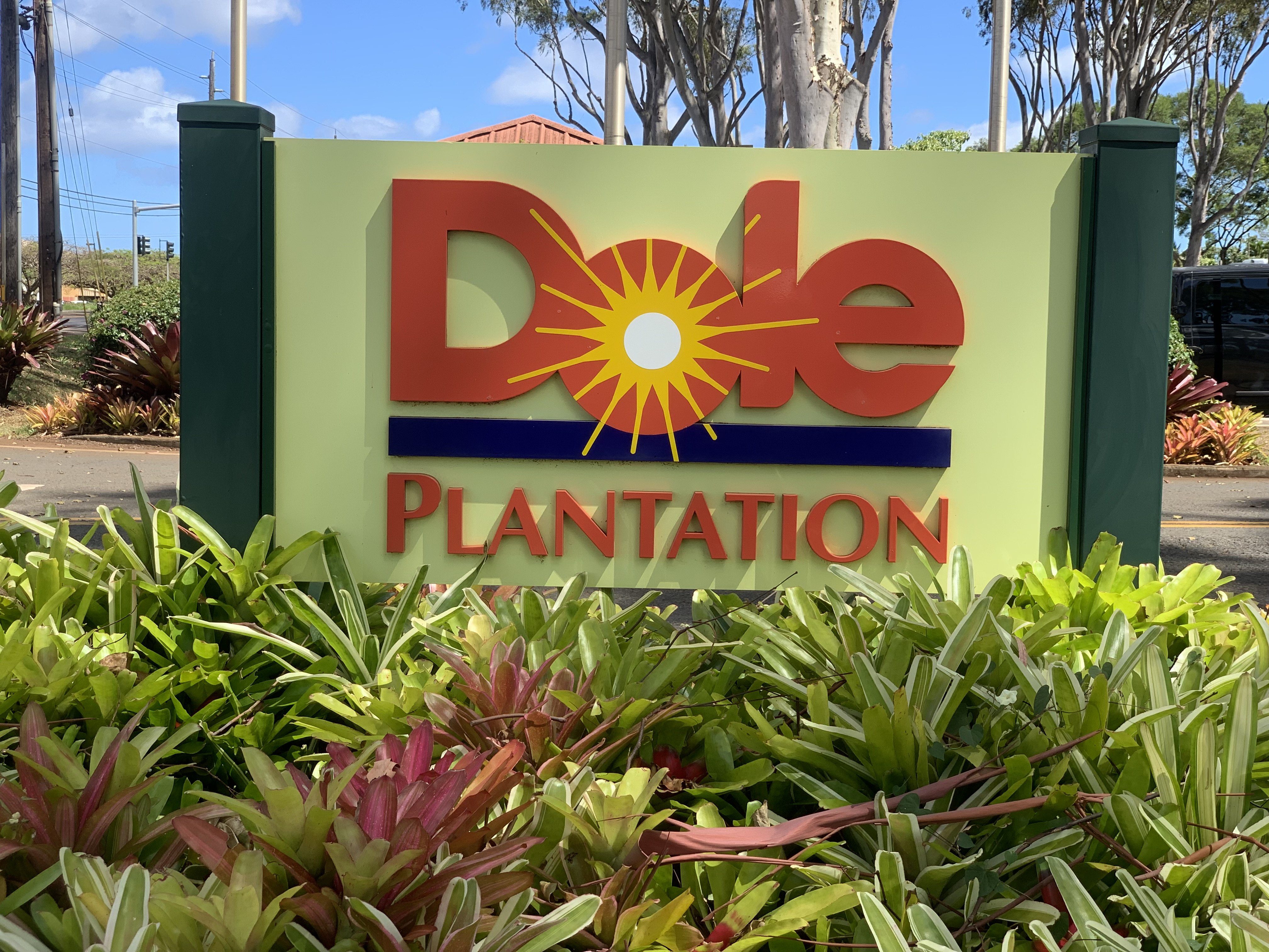 Visiting the Dole Pineapple Plantation with Kids #TravelTuesday | NYC ...